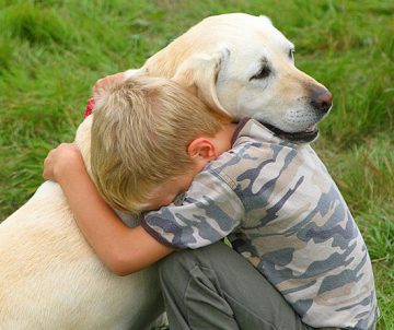 10 Pictures That Show Why We Love The Labrador Retriever ...