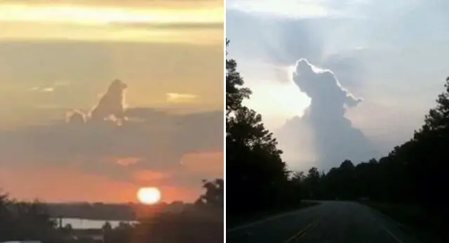10 Amazing Dog Shaped Cloud Photos That Prove All Dogs Go To Heaven ...