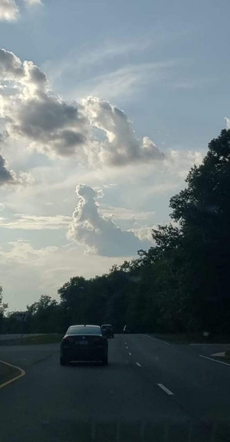 10 Amazing Dog Shaped Cloud Photos That Prove All Dogs Go To Heaven - ilovedogscute.com