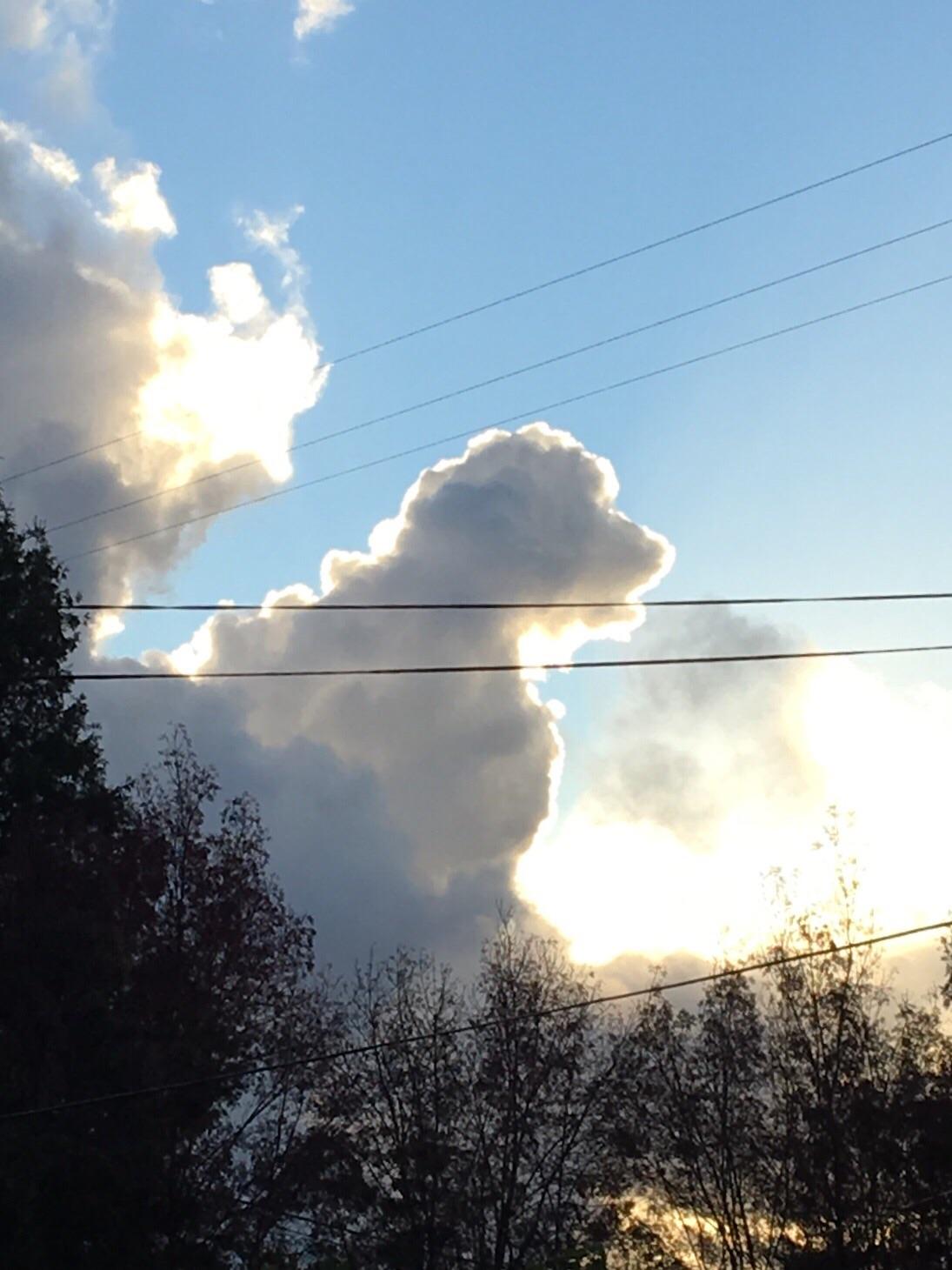 10 Amazing Dog Shaped Cloud Photos That Prove All Dogs Go To Heaven - ilovedogscute.com
