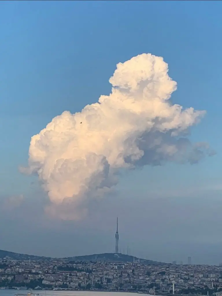 10 Amazing Dog Shaped Cloud Photos That Prove All Dogs Go To Heaven ...