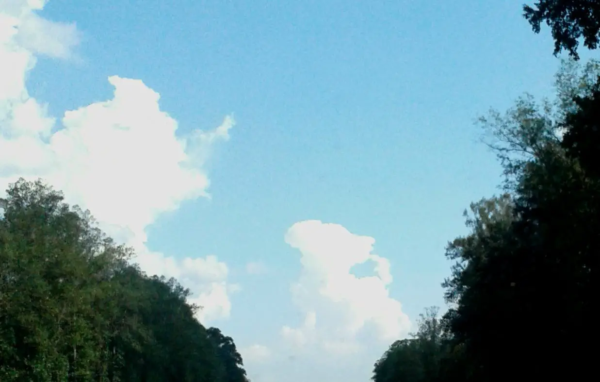 10 Amazing Dog Shaped Cloud Photos That Prove All Dogs Go To Heaven ...