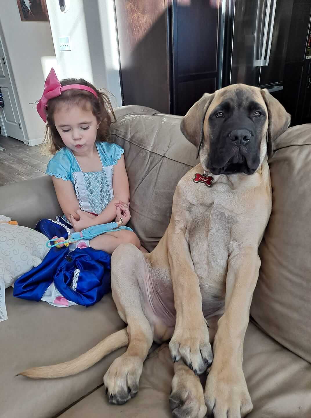 15 Adorable Pictures Of Dogs And Babies In The Dog Nanny Challenge ...