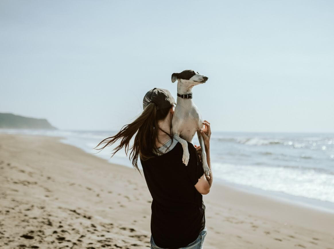 Do Dogs Know Our Gender? - ilovedogscute.com